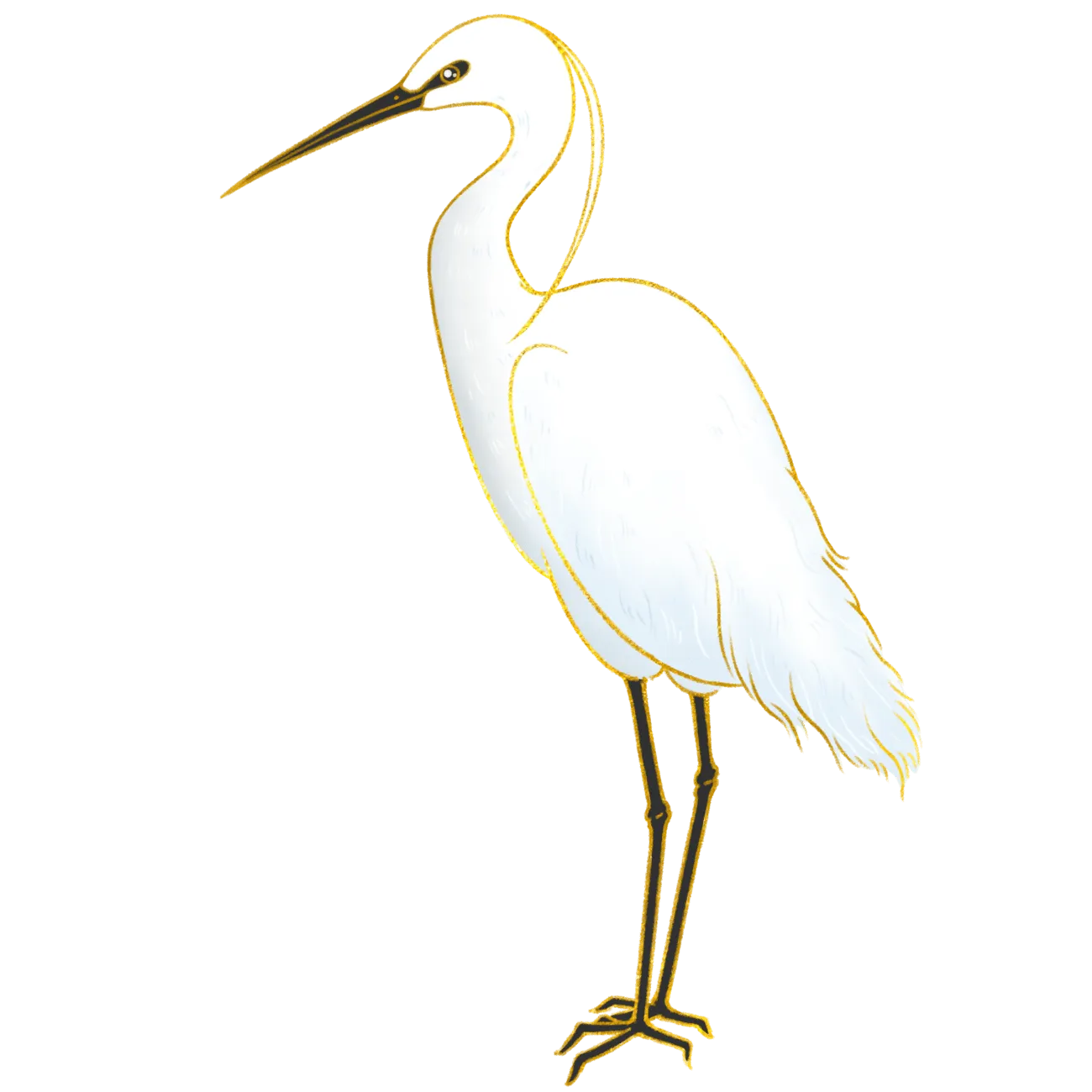 D65a57967cb99091830e36de761e4a80 png 1300 1300 d65a57967cb99091830e36de761e4a80-png-1300-1300